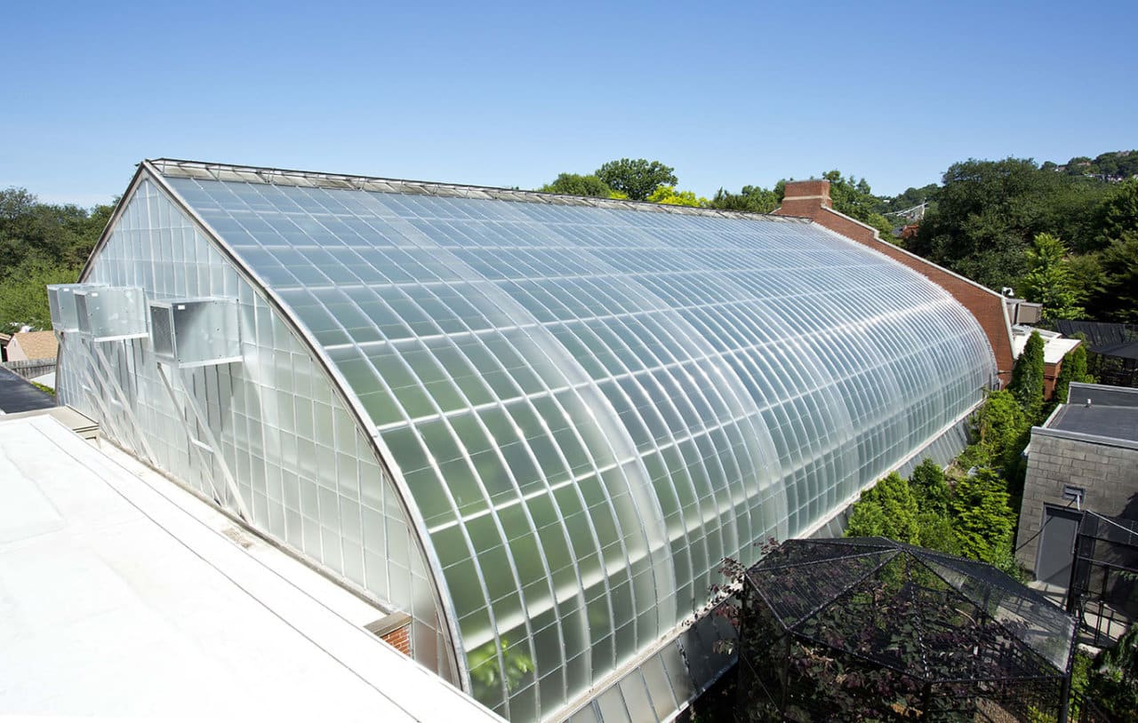 Bird Safe Glass | Walker Glass