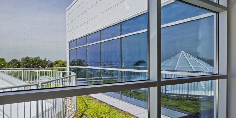 4 Questions About Tinted Glass in Bird-Safe Applications | Walker Glass