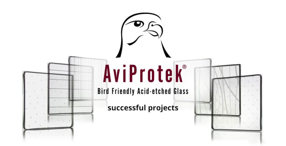 Effectiveness of AviProtek® bird friendly glass | Walker Glass