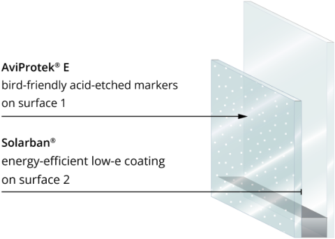 AviProtek® E Low E Bird Safe Glass | Walker Glass